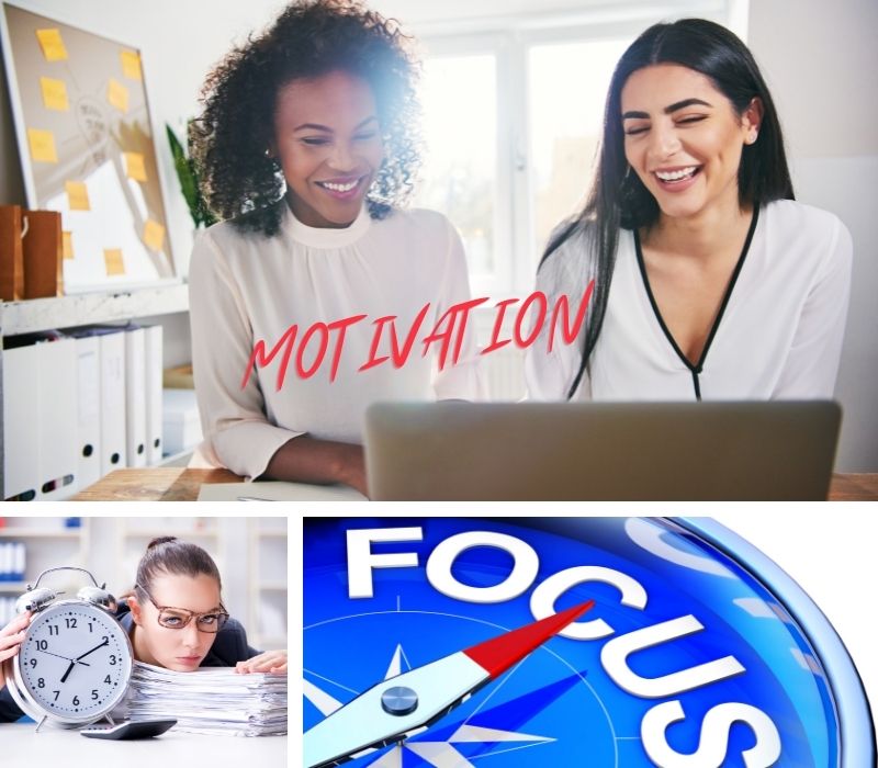 Organize Your Life with Get Organized Genie